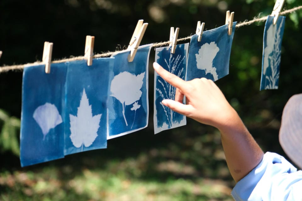 Kits cyanotype à partir de 14,90 € livraison incluse • Tout pour le cyanotype