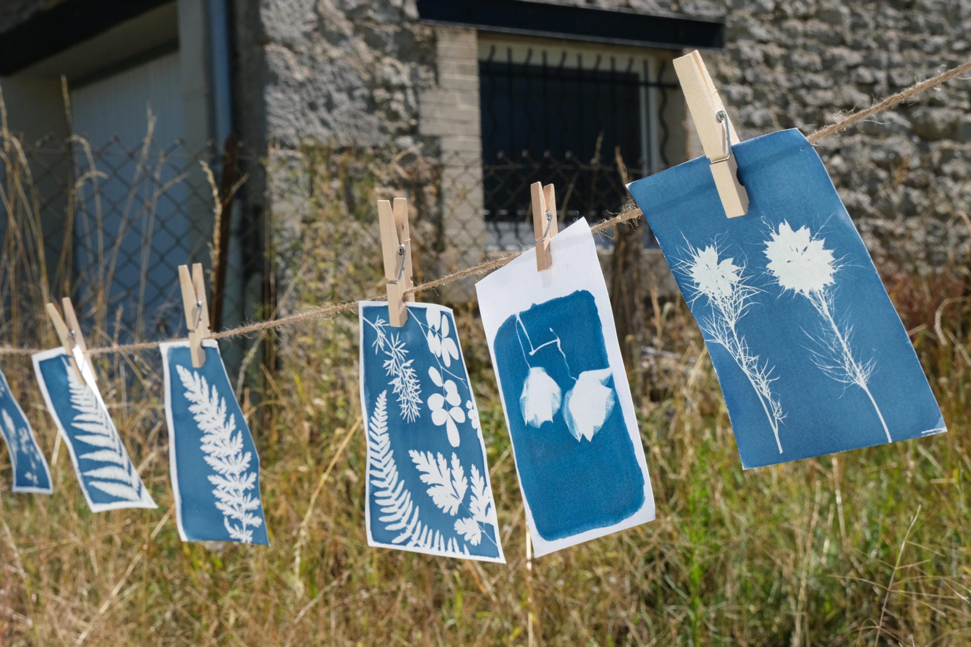 Comment organiser un atelier cyanotype ? • Tout pour le cyanotype