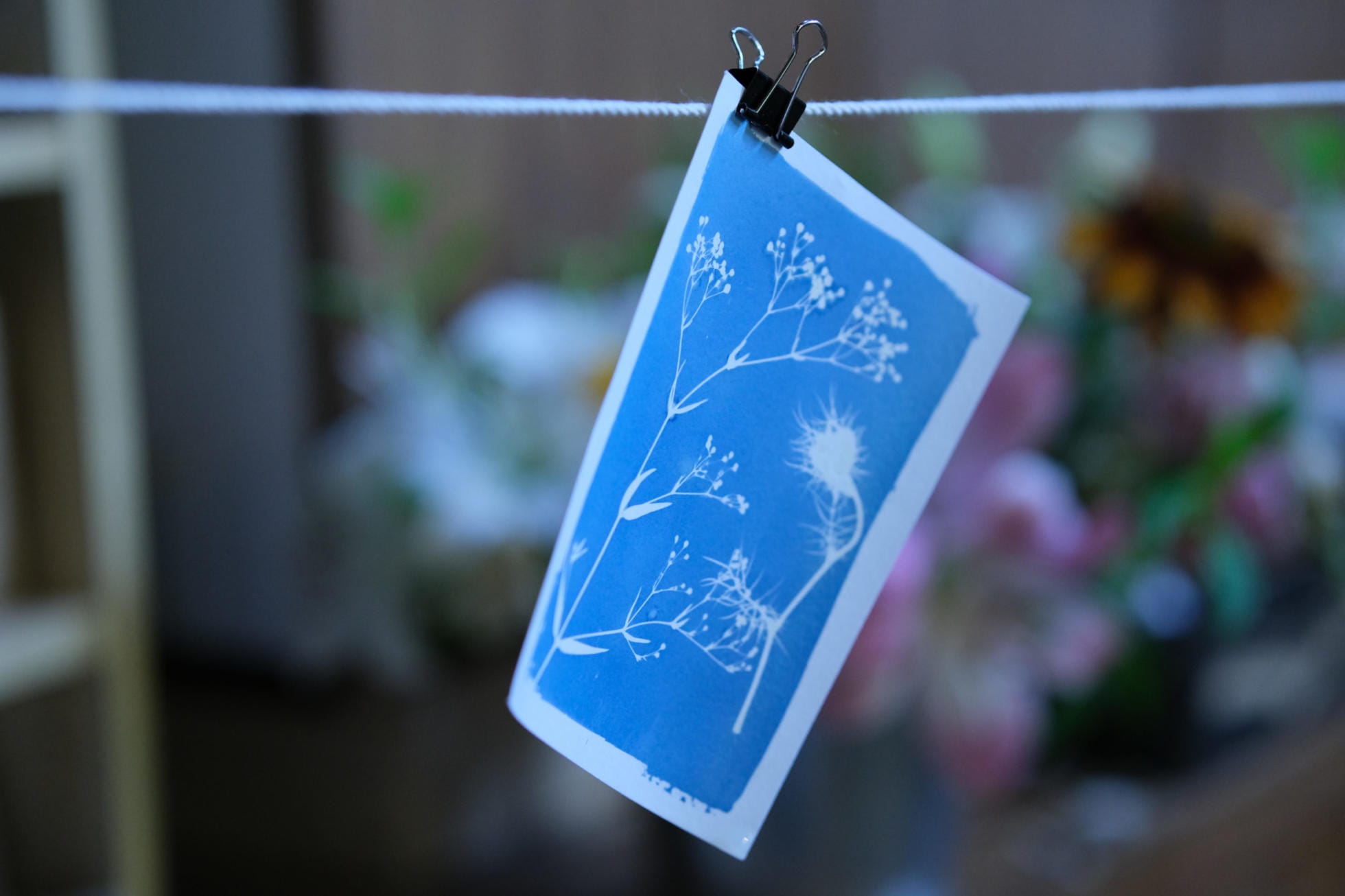 Comment créer des cyanotypes en janvier ? • Tout pour le cyanotype
