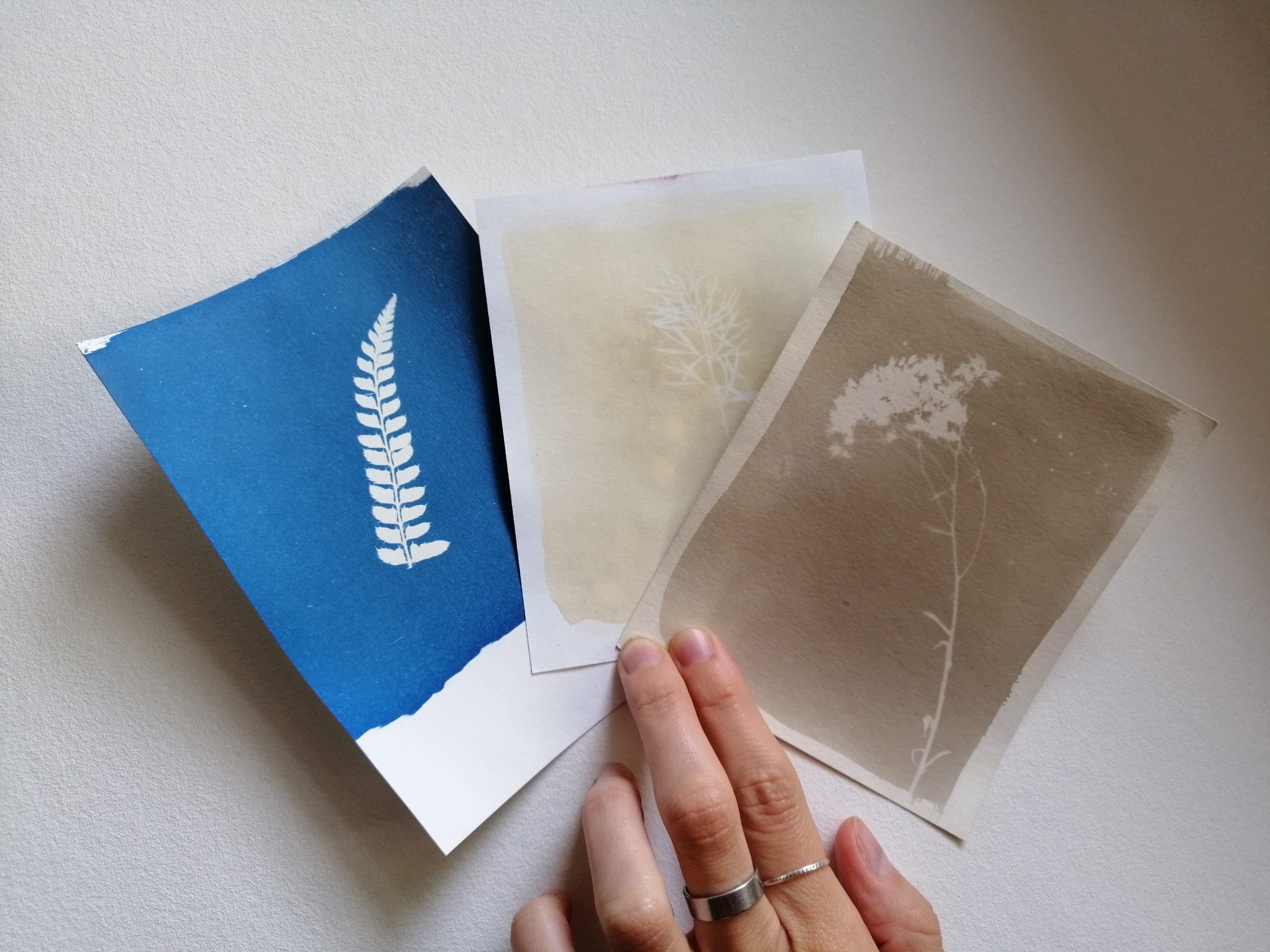 Virage cyanotype : comment faire pâlir un cyanotype • Tout pour le cyanotype