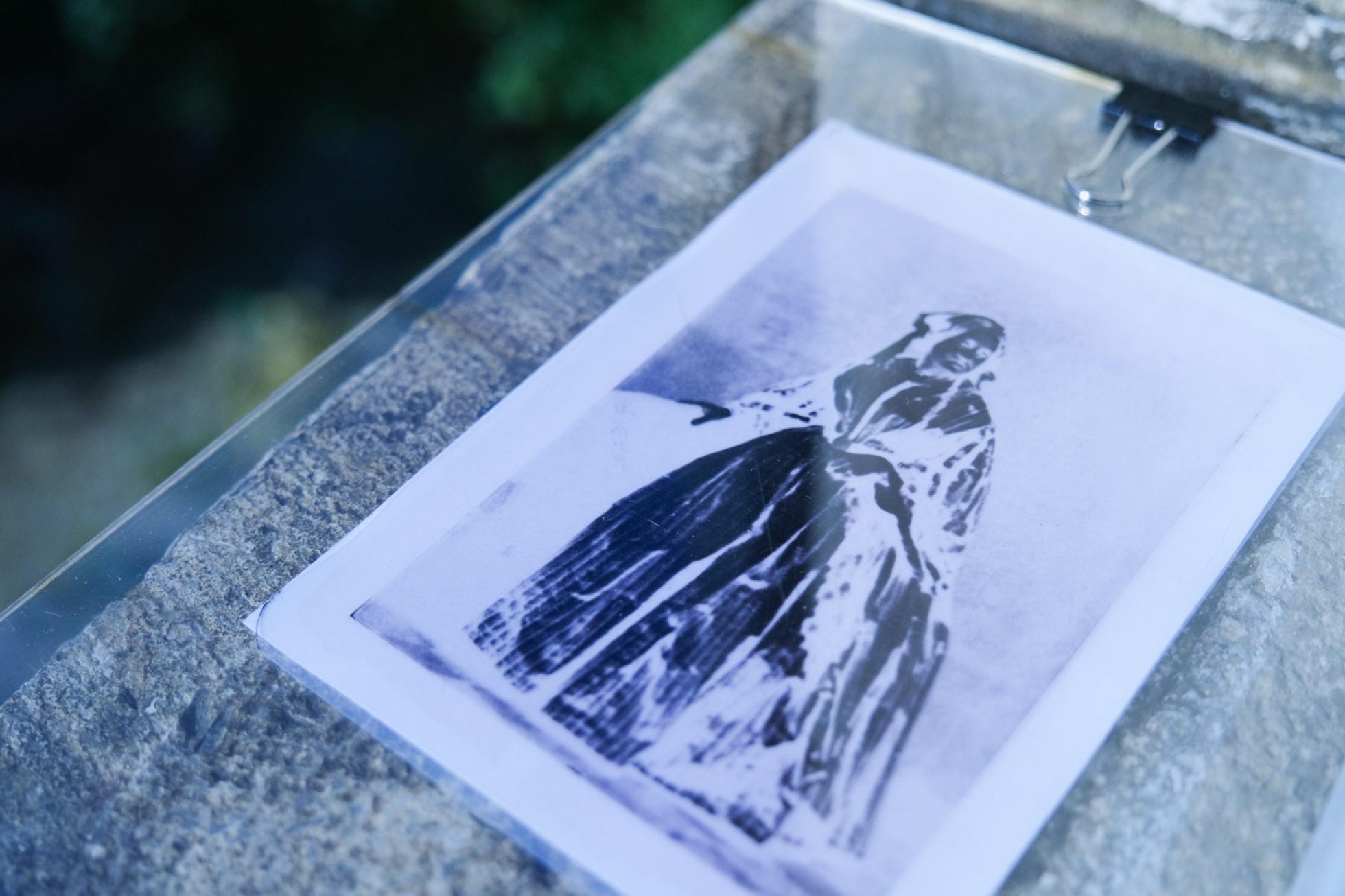 Le rosatype, ou cyanotype rose • Tout pour le cyanotype
