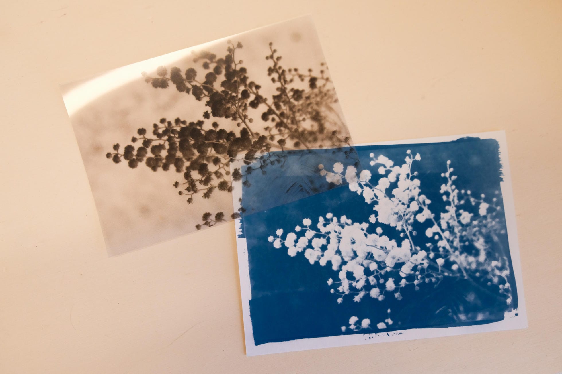 L'Évolution des Blueprints : Du Cyanotype aux Techniques Modernes ...